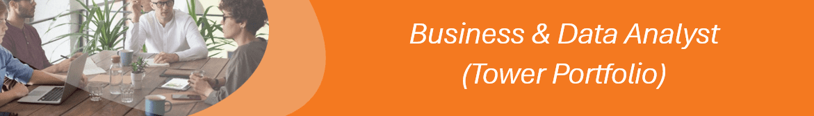 Business & Data Analyst (Tower Portfolio) | Darbuotojų paieška ir ...